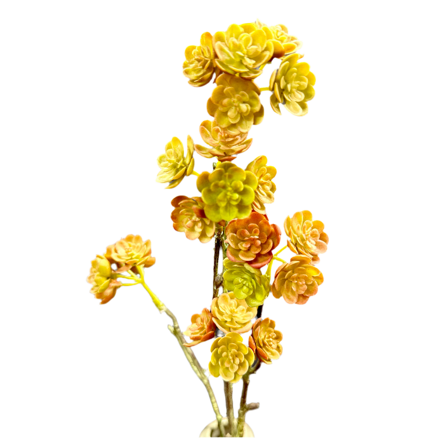 Spring/Summer Florals and Picks– Design Decor Knoxville