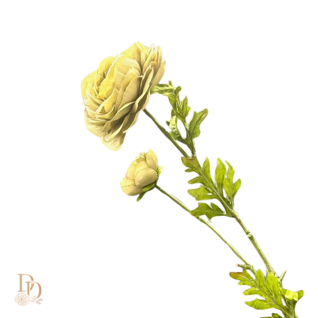 Olive Vintage Ranunculus Spray 7"x25.5"– Design Decor Knoxville