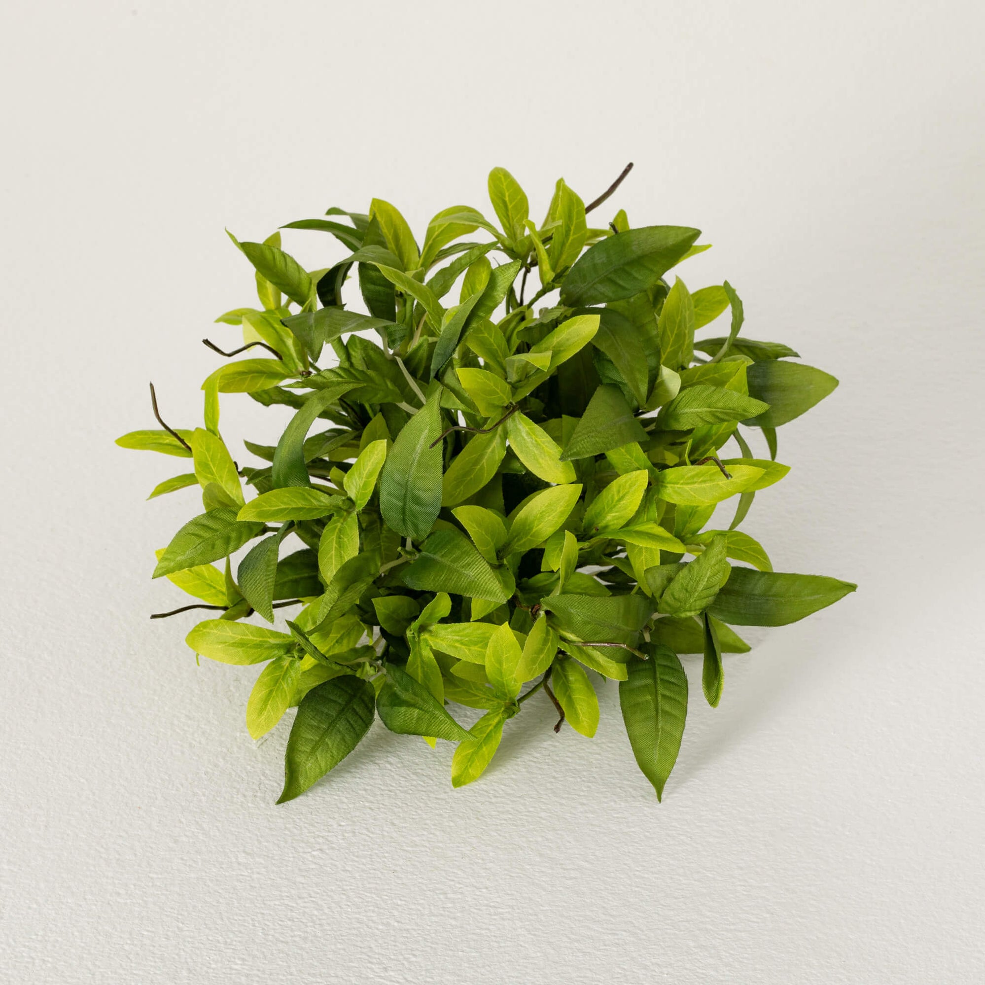 Ruscus Spring Greenery– Design Decor Knoxville