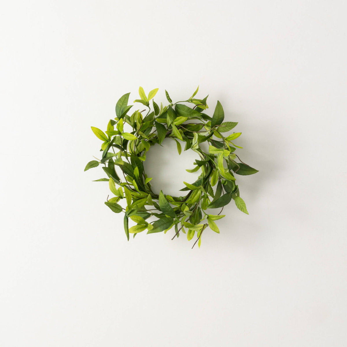 Ruscus Spring Greenery– Design Decor Knoxville