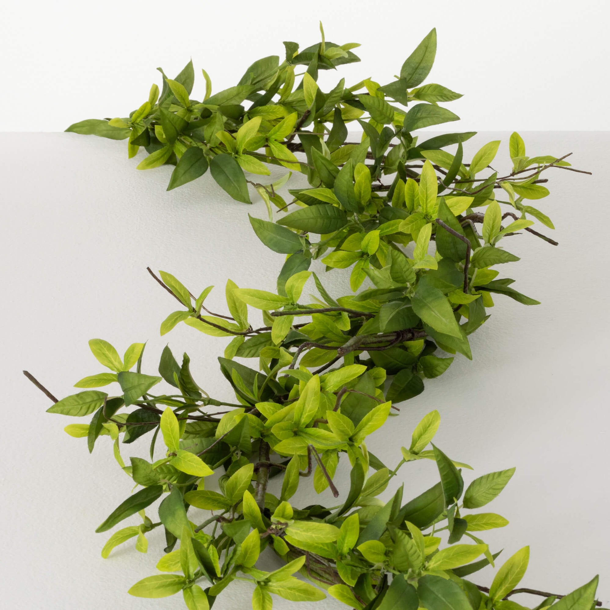 Ruscus Spring Greenery– Design Decor Knoxville