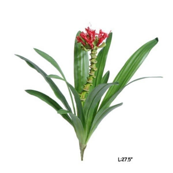 Exotic Billbe– Design Decor Knoxville