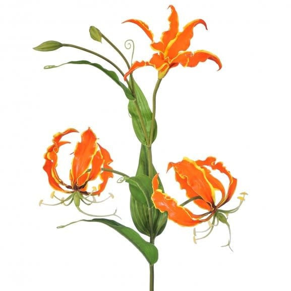 GLORIOSA LILY X3 2BUD 30" ORANGE– Design Decor Knoxville